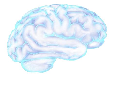 首页 脑科学、脑机接口、脑电生物反馈、认知能力训练产品 北京视友科技有限责任公司