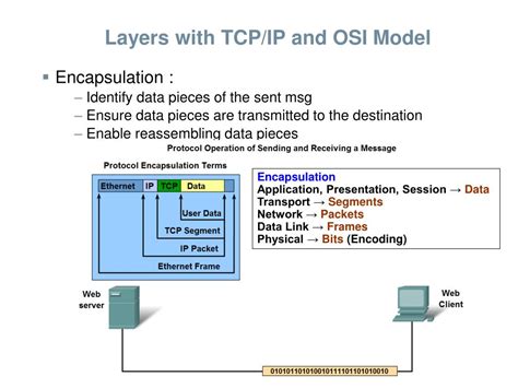 PPT CCNA Network Fundamentals PowerPoint Presentation Free Download ID