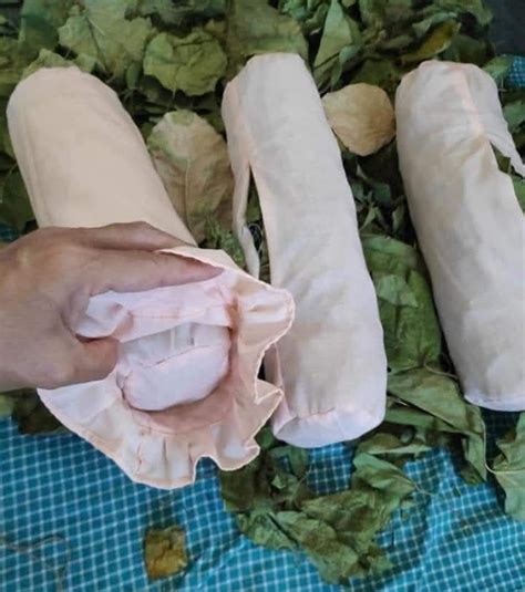 မြန်မာတိုင်းရင်းဆေးနည်းများ မျှဝေရာ ခွေးတောက်ရွက် ခေါင်းအုံး