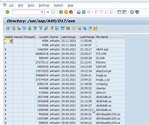 SAP AL11 Display SAP Application Server File Directory