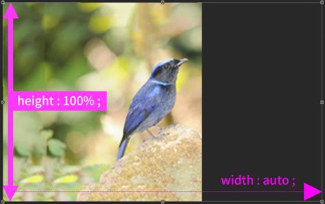 CSSだけでサムネイル画像を作る全部のパターンをご紹介します ホームページ作成や運用支援するホームページTips静岡県浜松市を拠点にホームページ制作を行うアドレック事業部