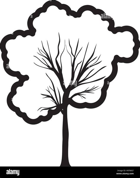 Monochrome Contour Tree Trunk With Foliage Shape Cloud Vector
