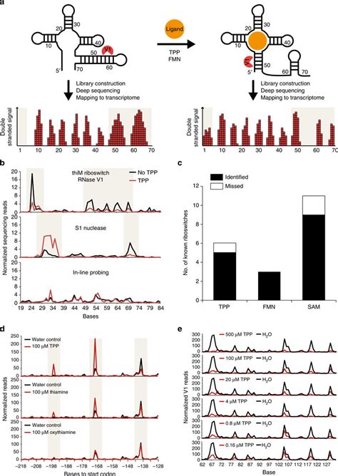 Measuring Rna Ligand Binding By Structure Probing And Deep Sequencing