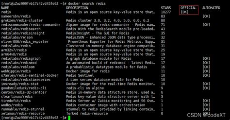Docker部署redisdocker Redis Csdn博客