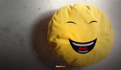 The Smiling Pillow Todd Herman And The Thief