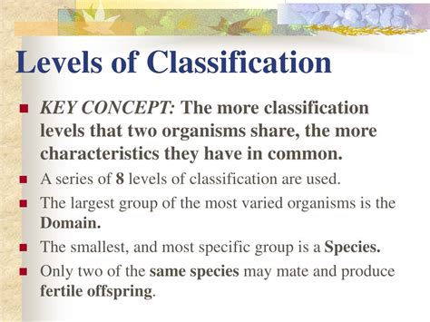 Ppt Classification Powerpoint Presentation Free Download Id1085474 Ppt Classification Powerpoint Presentation Free Download Id1085474