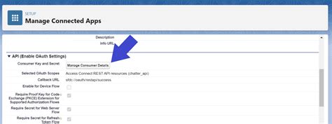 A How To Guide For Salesforce Api