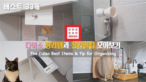 Sub 다이소 추천 정리템 33개 모아보기ㅣ정리팁 공유ㅣ다양한 방법으로 활용할 수 있는 다이소 정리템ㅣ냥집사 일상 Youtube