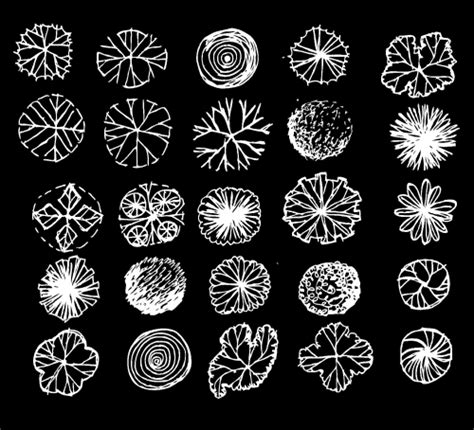 Trees Top View For Architecture Landscape Design Projects Free