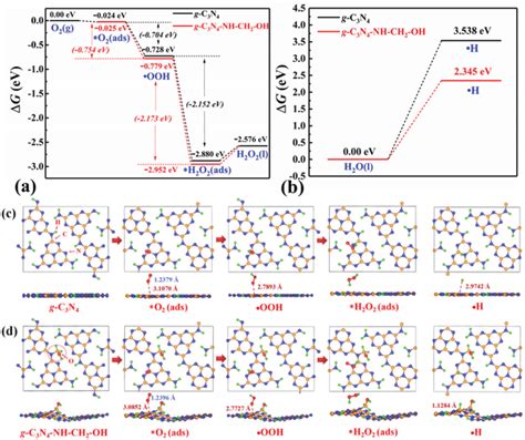 Freeenergy Diagrams For A The Reduction Of O To H O And B H O Download Scientific Diagram