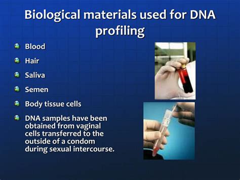 Ppt Dna Profiling Powerpoint Presentation Free Download Id 822158