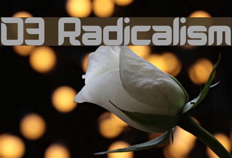 D3 Radicalism Font