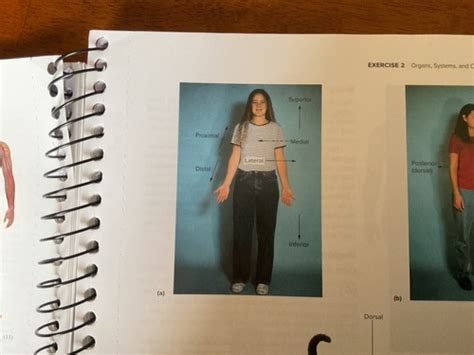 Final EXAM Flashcards Quizlet Final EXAM Flashcards Quizlet