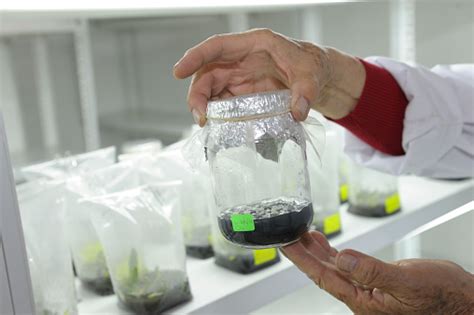 화학 교육과 의학 개념을 대표 하는 밝은 실험실의 연구와 과학 의사 학생 사람들 Stem 주제에 대한 스톡 사진 및 기타 이미지 Stem 주제 개발 과학 Istock