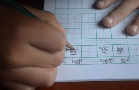 Diversity In The Chinese Lanaguage Program Tjtoday