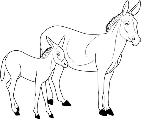 Disegni Di Asini Da Colorare Disegni Colorarecom