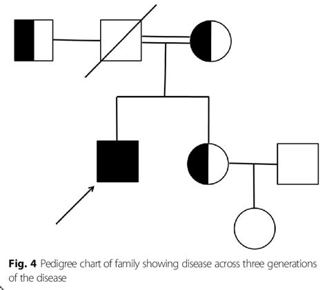 abbreviation hgmd human gene mutation database download scientific diagram