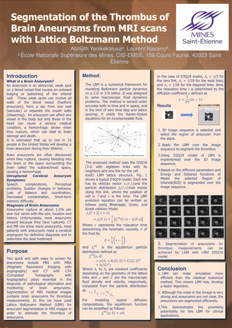 Pdf Segmentation Of The Thrombus Of Brain Aneurysms From Mri Scans With Lattice Boltzmann Method