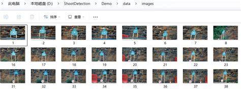 Yolo11实例分割实战yolov11实例分割 Csdn博客