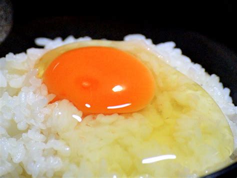 黄身の色は濃くてオレンジ色の方が栄養価が高い 福岡平飼い卵 あかね農場