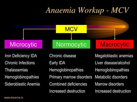 Ppt A Practical Approach To Anemia Powerpoint Presentation Free Download Id 259255