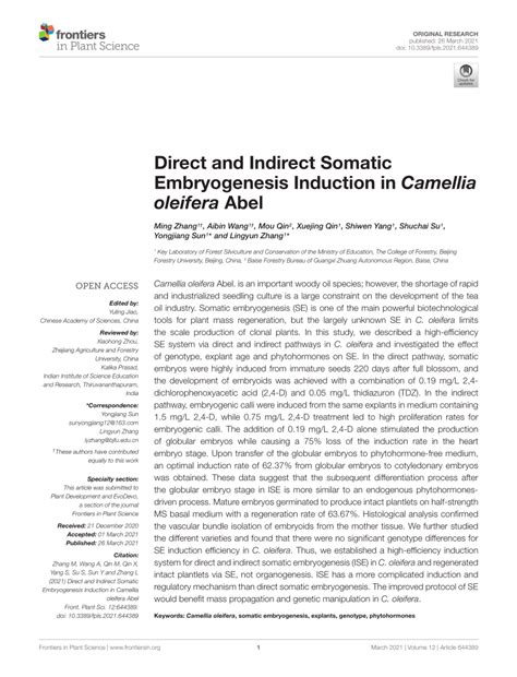 Pdf Direct And Indirect Somatic Embryogenesis Induction In Camellia