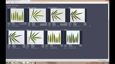session 4 creating grass youtube