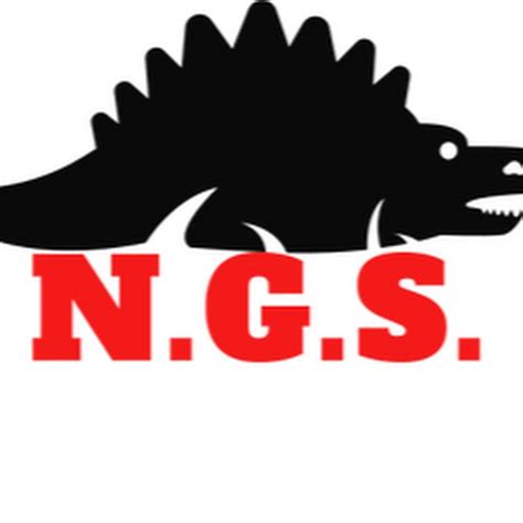 N G S Youtube