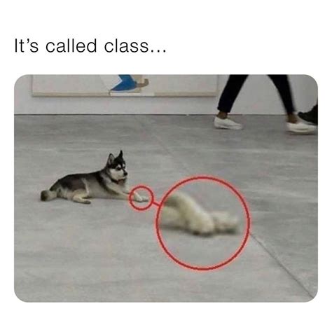 Its Called Class Funny