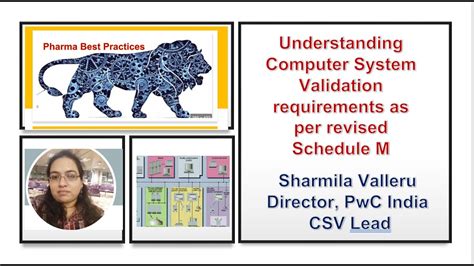 Understanding Computer System Validation Requirements As Per Revised Schedule M Youtube