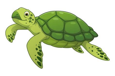 Free Sea Turtle Download Free Sea Turtle Png Images Free Cliparts On Clipart Library