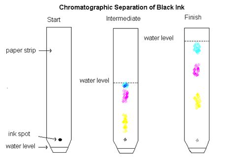 Chromatography Lab Results