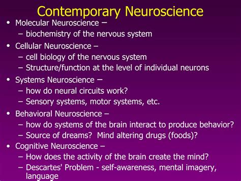 Introduction To Neuroscience Ppt
