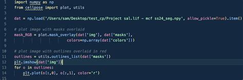 Struggling To Plot The Masks Created With Cellpose In Python From The