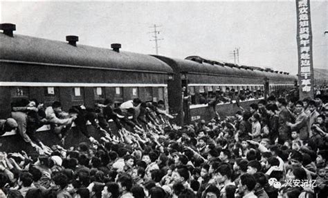 【学史增信 知所从来】战天斗地 六万知识青年一澎湃号·政务澎湃新闻 The Paper