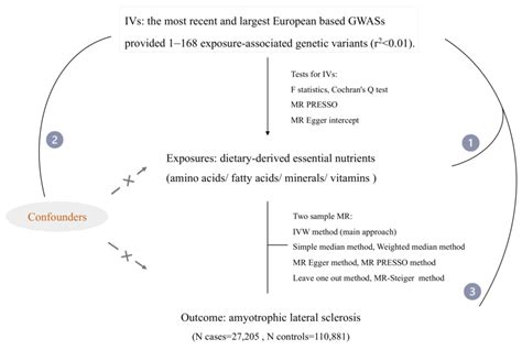Flow Chart Showing The Process For The Mendelian Randomization Download Scientific Diagram