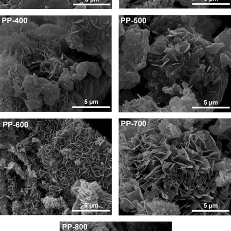 Xrd Patterns Of The Pp Derived Catalysts Download Scientific Diagram