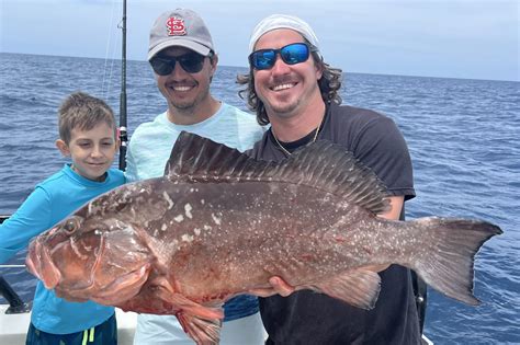 2024 Red Grouper Season Gulf Of Mexico Florida Guides Association