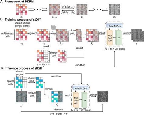Stdiff A Diffusion Model For Imputing Spatial Transcriptomics Through Single Cell