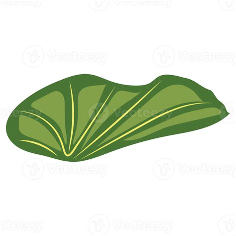 Green Bush And Tree For Landscape And Architecture Drawing Elements For Environment And Garden