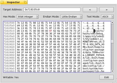 Debugger Editing Memory Haiku Project