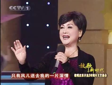 李谷一乡恋2008歌唱改革开放三十周年文艺晚会 中国