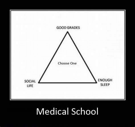 The Many Banes Of My Existence By Alexis My Role In Facilitating My Brother S Sex Life And