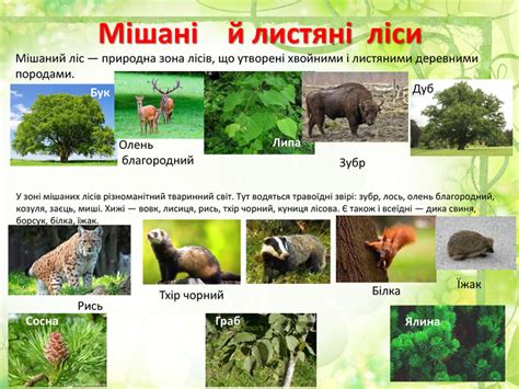 Презентація Євразія