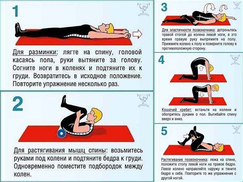 Упражнения на укрепление спины в домашних условиях 8 эффективных упражнений для тренировок мышц