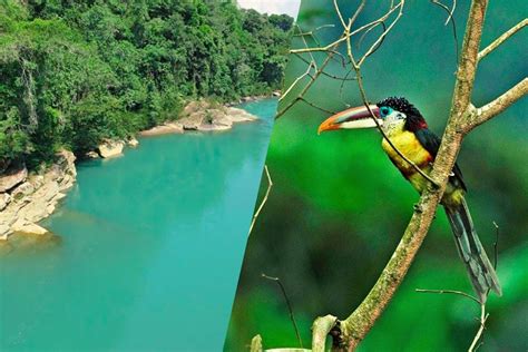 奥克萨潘帕的复活节：旅行团、门票、住宿、旅游景点等的价格 Infobae