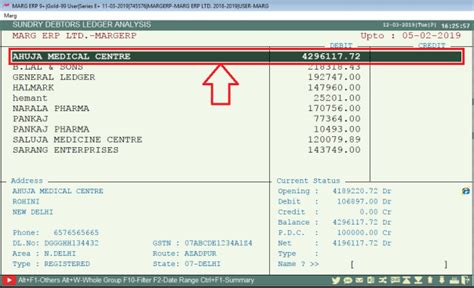 How To View Ledger Analysis In Marg Software