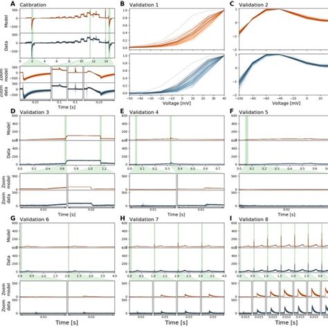 Whole Cell Patch Clamp Voltage Clamp Recordings Under Nine Different Download Scientific