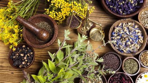 Ayurvedic Medicine Manufacturers In Uttar Pradesh Best Herbs