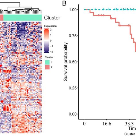 Identification Of Molecular Subtypes A Clustering Heat Map Of